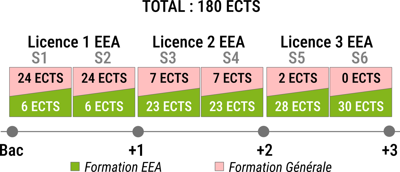 Licence EEA - Département d’enseignement EEA - Faculté des Sciences