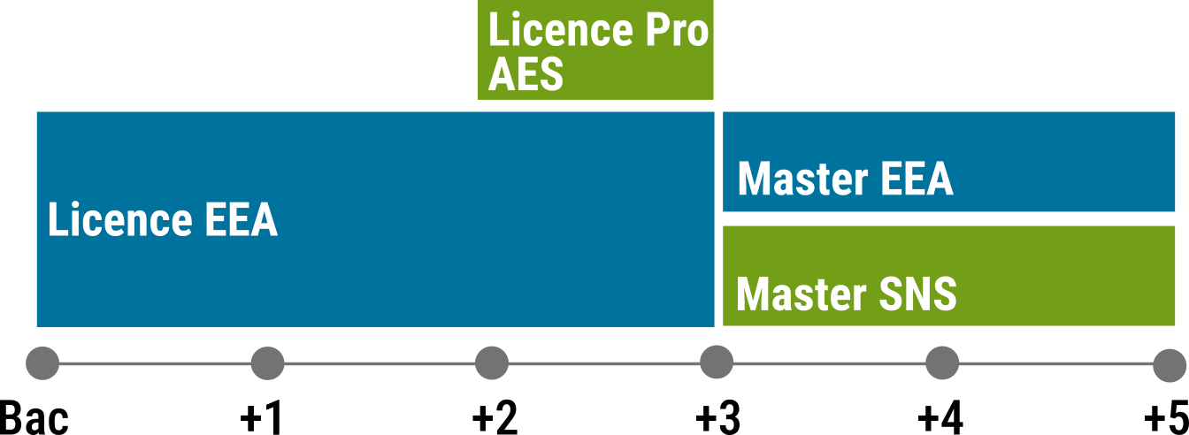 Département d’enseignement EEA - Faculté des Sciences